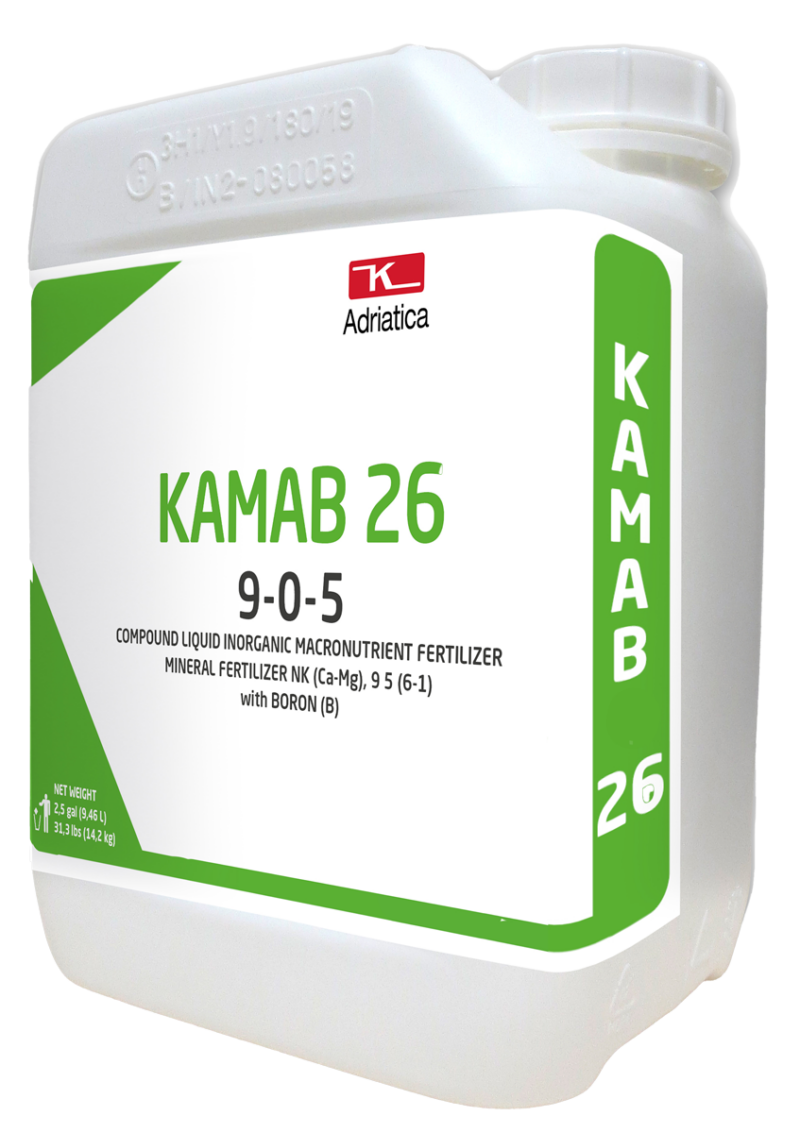 Kamab 26 - K-Adriatica USA
